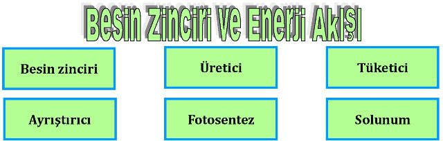 Fenokulu.net Fenokulu.net