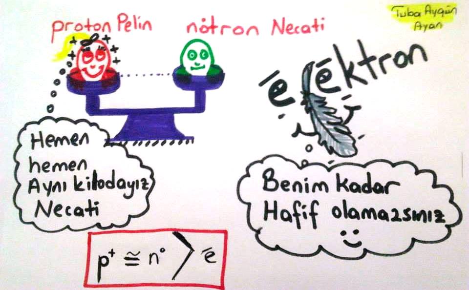 Fenokulu.net Fenokulu.net