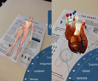 Ders 8: Anatomy 4D Uygulaması ve Quiver – Damla'nın Web Sitesine ...